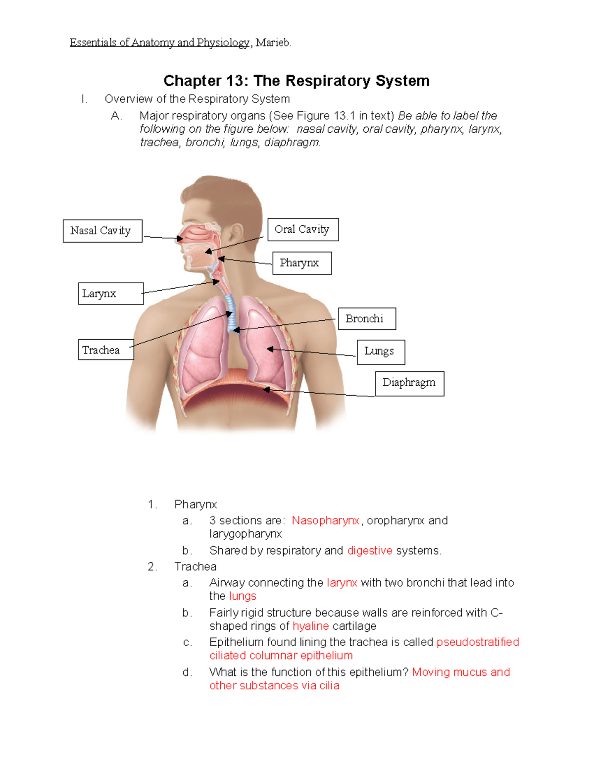 Chapter 13 Outline-LP - Deprecated API usage: The SVG back-end is no longer maintained and may ...