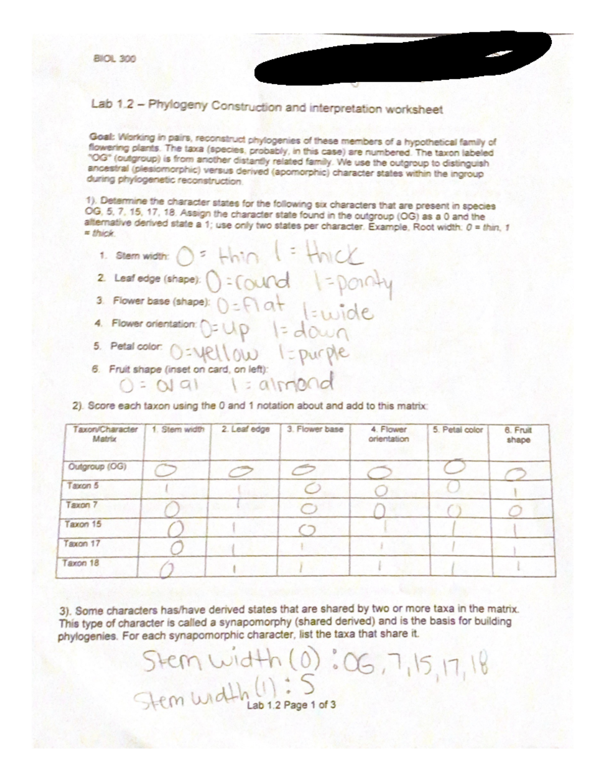 BIO300 Lab 1 - BIOL 300 Lab 1 Phylogeny Construction and interpretation ...