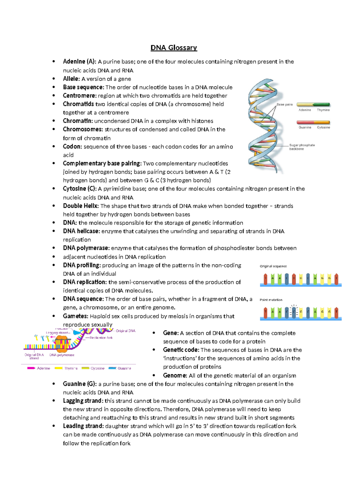 DNA Glossary - DNA Glossary Adenine (A): A purine base; one of the four ...