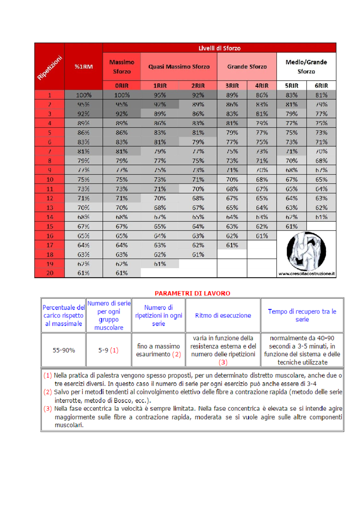 Percentuali e massimali e Micro o Macro - Scienze Motorie e Sportive ...