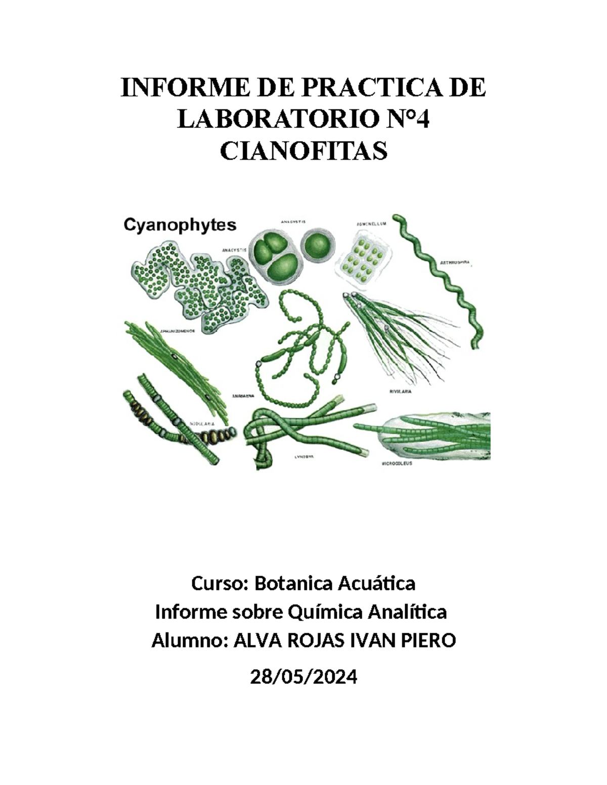 Botanica - informe de botánica - INFORME DE PRACTICA DE LABORATORIO N ...