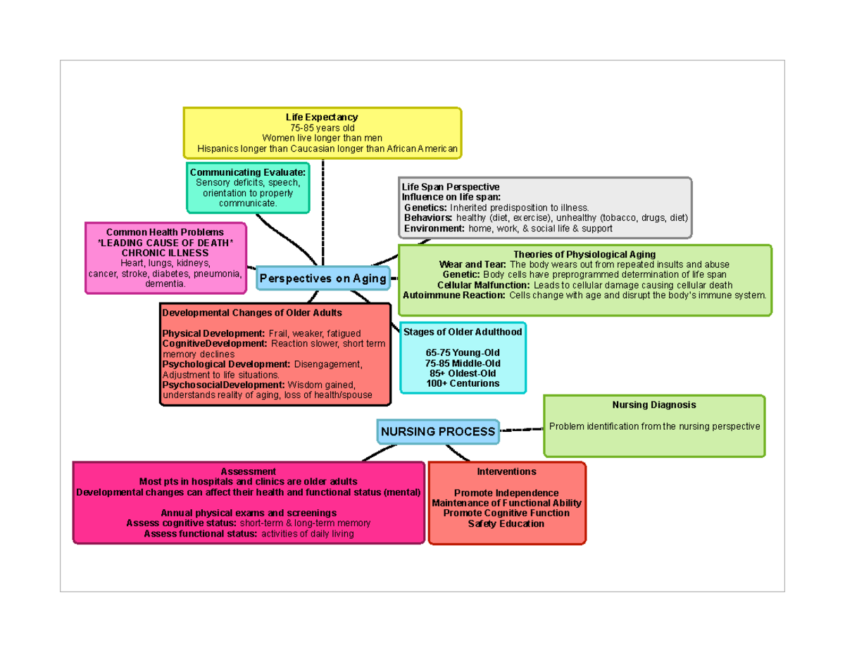 Perspectives on Aging Mind Map - TH 375 - Cal Poly Pomona - Studocu