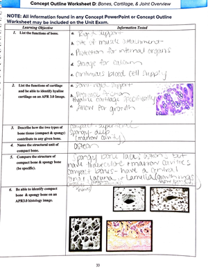 Ch. 6 Terminology - Chapter 6 -Orthopedics - Combining Forms Combining ...