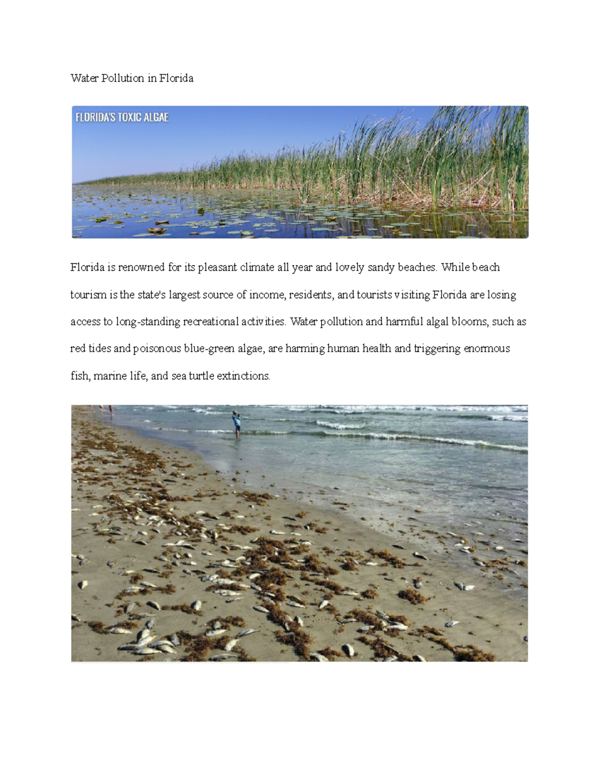 Water Pollution in Florida - Water Pollution in Florida Florida is ...