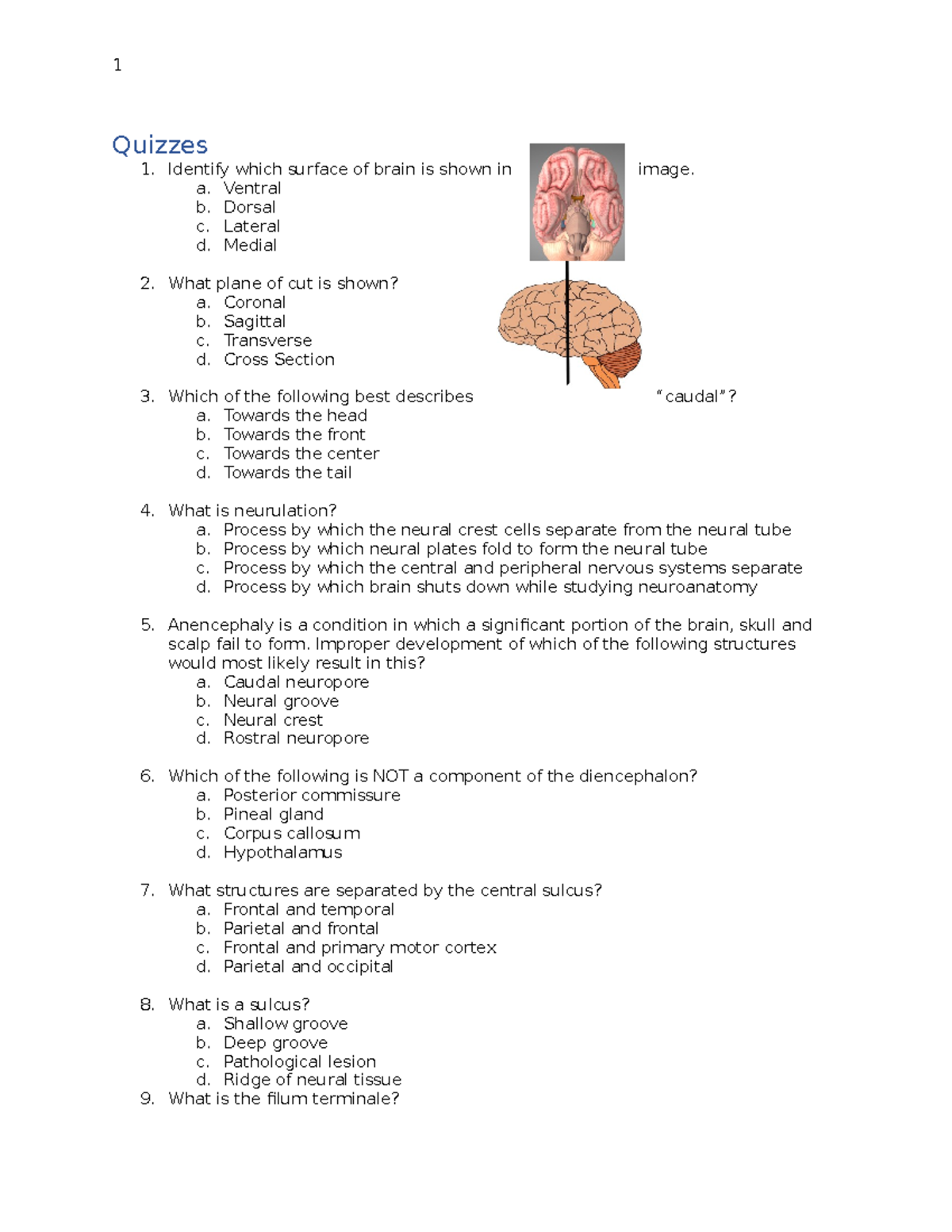Anatomy Quizzes with details - 1 Quizzes Identify which surface of ...