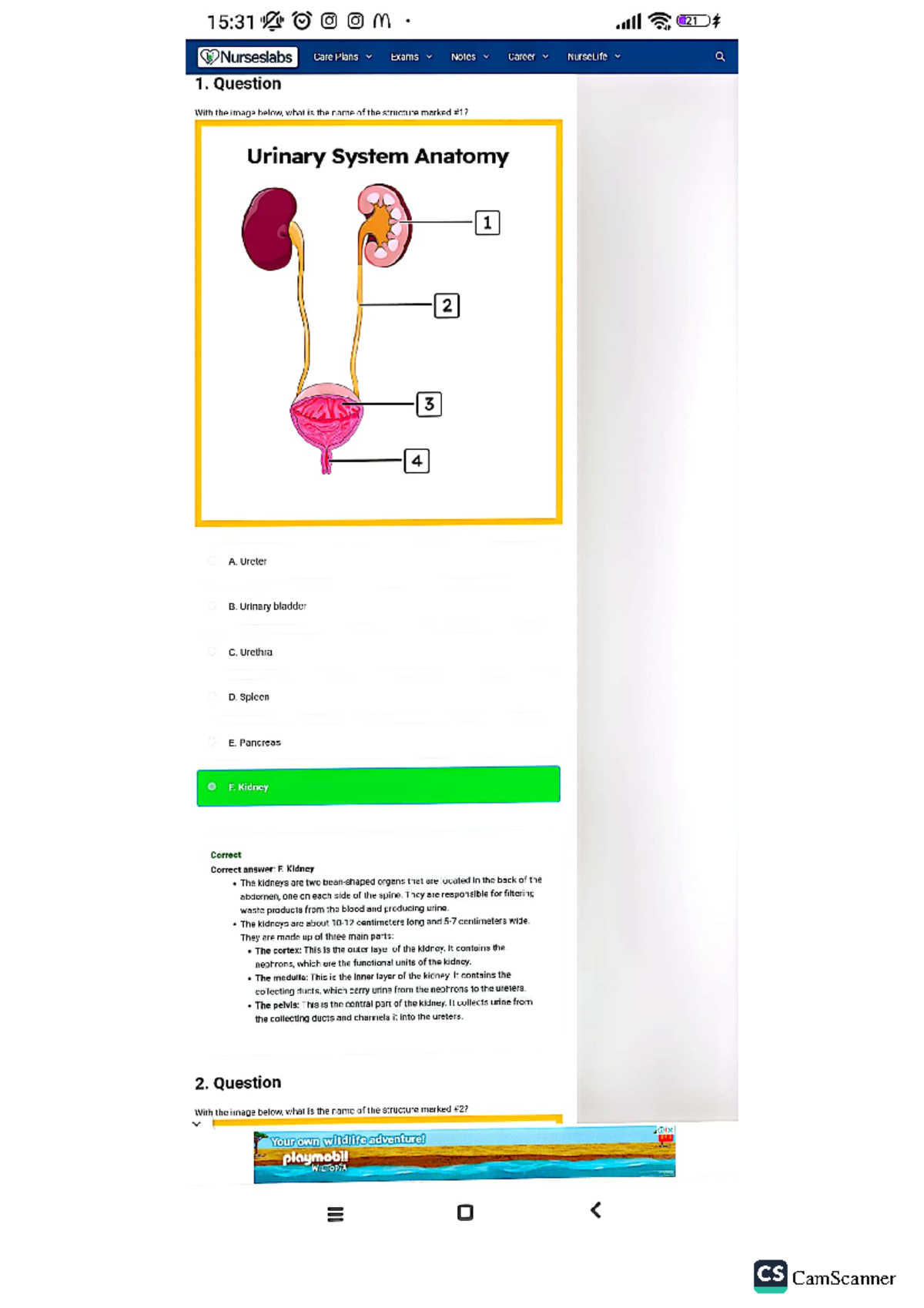 Renal System - Medical-Surgical Nursing - Studocu