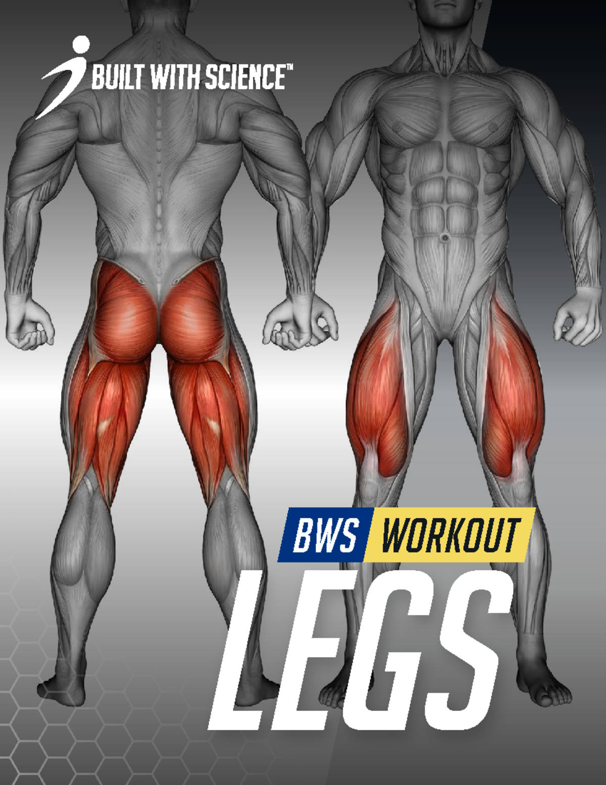 Built With Science Leg Workout PDF - legs bws workout Table of contents THE PUSH PULL LEGS ...