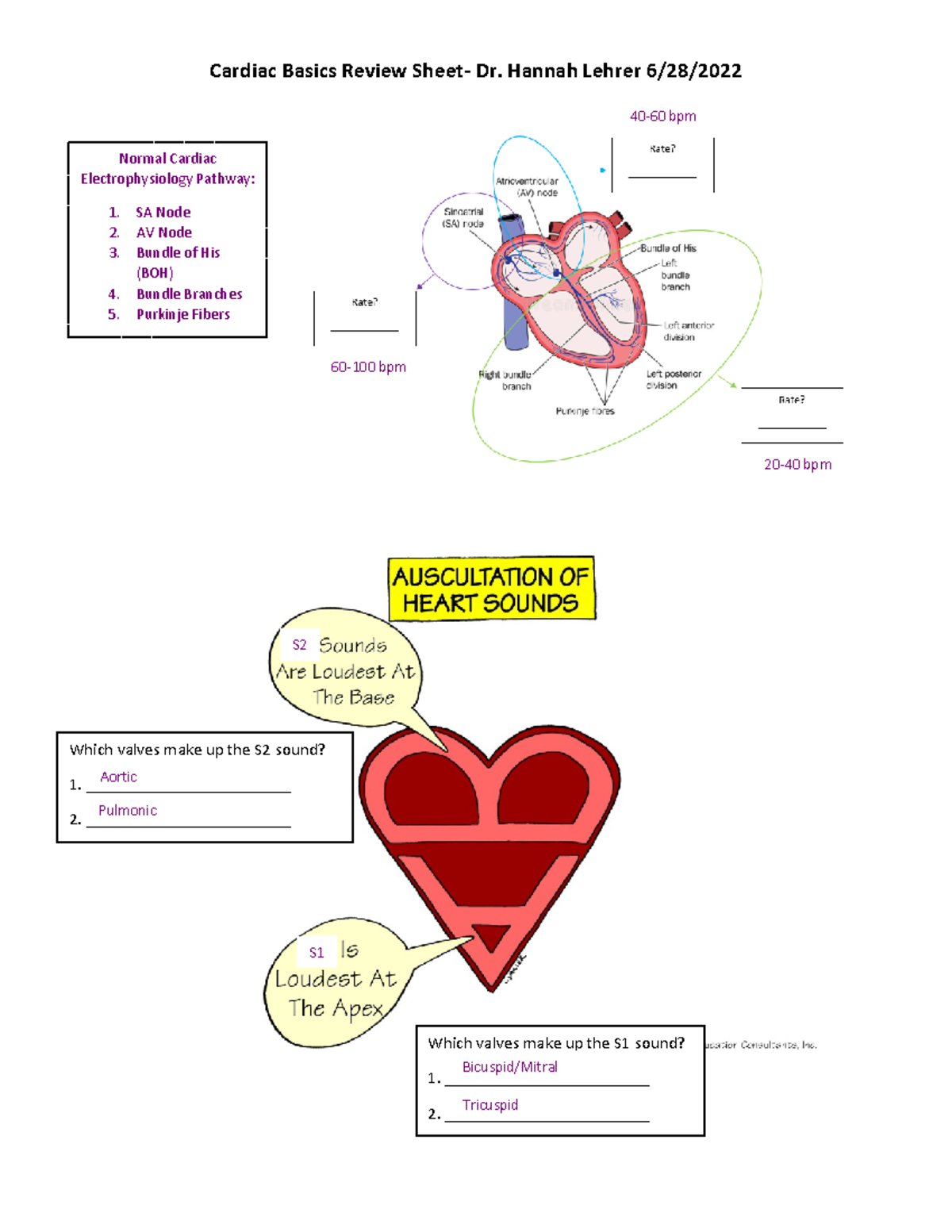 NR283 Cardiac Basics Review Sheet - Cardiac Basics Review Sheet- Dr ...