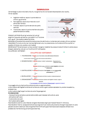Schema class. completo - AGNATI ATTINOPTERIGI SARCOPTERIGI (Coanoitti ...