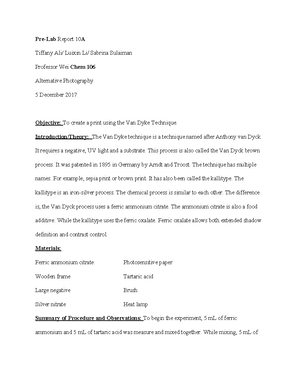 Lab Report #7 Metal Reactivity - Lab Report #7: The Chemistry of Metal ...