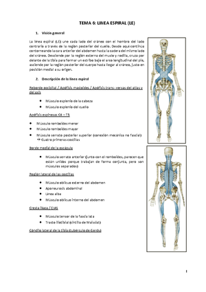 3. Patrón capsular-ligamentoso del hombro (capsulitis vs retracción ...