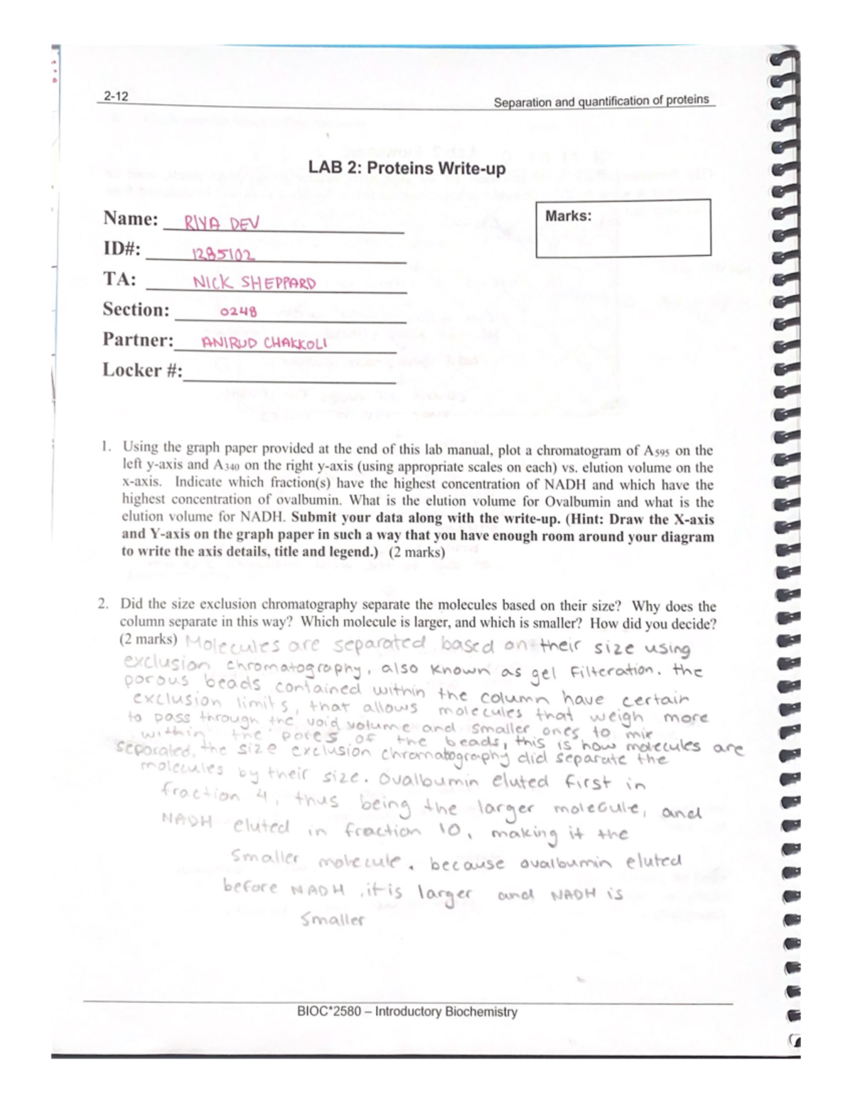 Separation and quantification of proteins - Using the graph paper ...