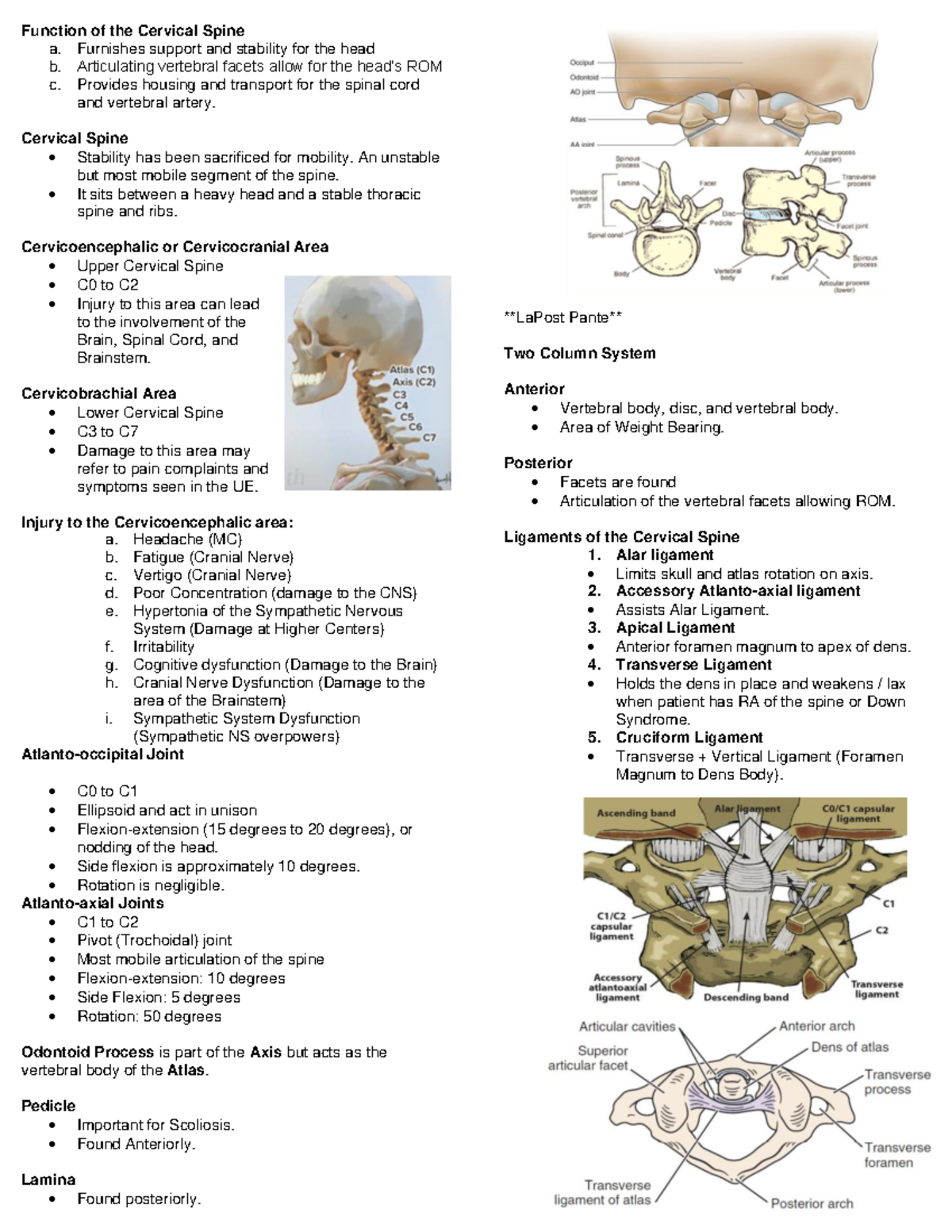 Cervical Spine Notes - pp hehe - Function of the Cervical Spine a ...