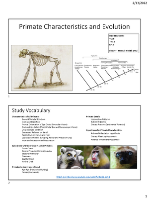 Lecture 7 Week 7 Primate Taxonomy and Behaviors - Primate Taxonomy and ...