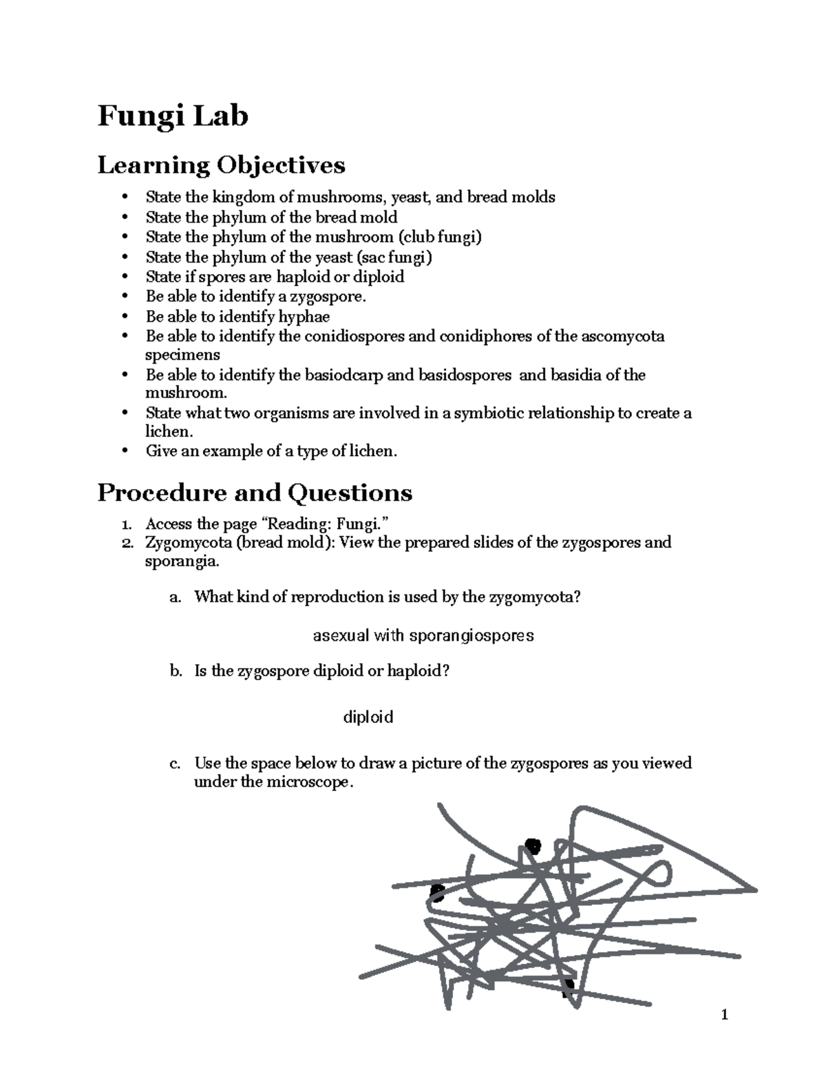 Fungi Lab - Fungi Lab Learning Objectives • State the kingdom of ...