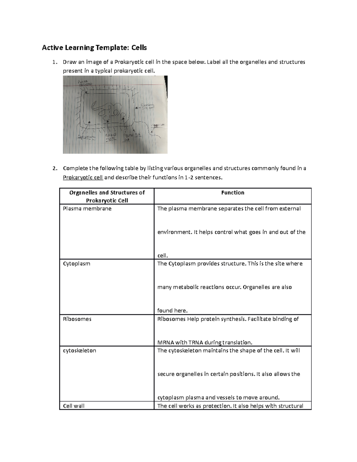 Cells completed - follow along - Active Learning Template: Cells Draw ...