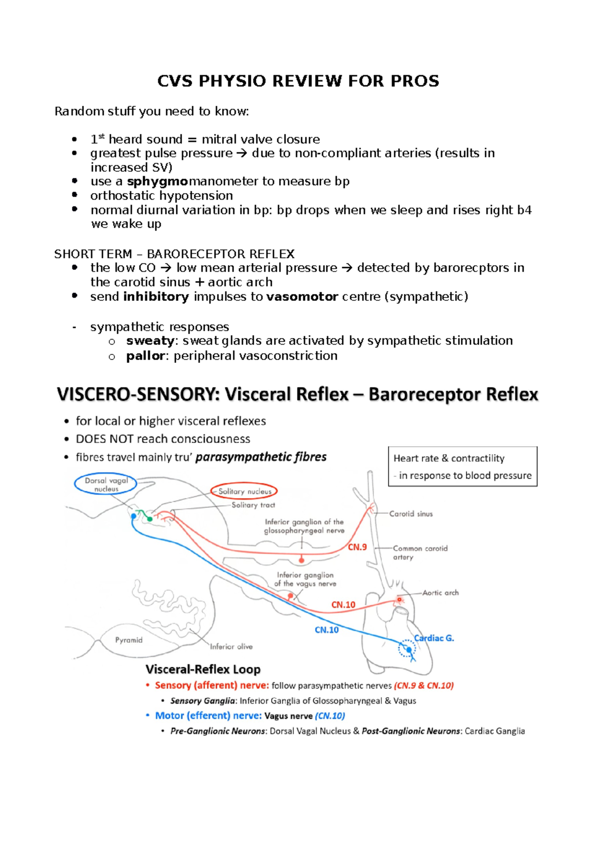 Cardiovascular Physio Review FOR M1 PROS - CVS PHYSIO REVIEW FOR PROS Random stuff you need to ...