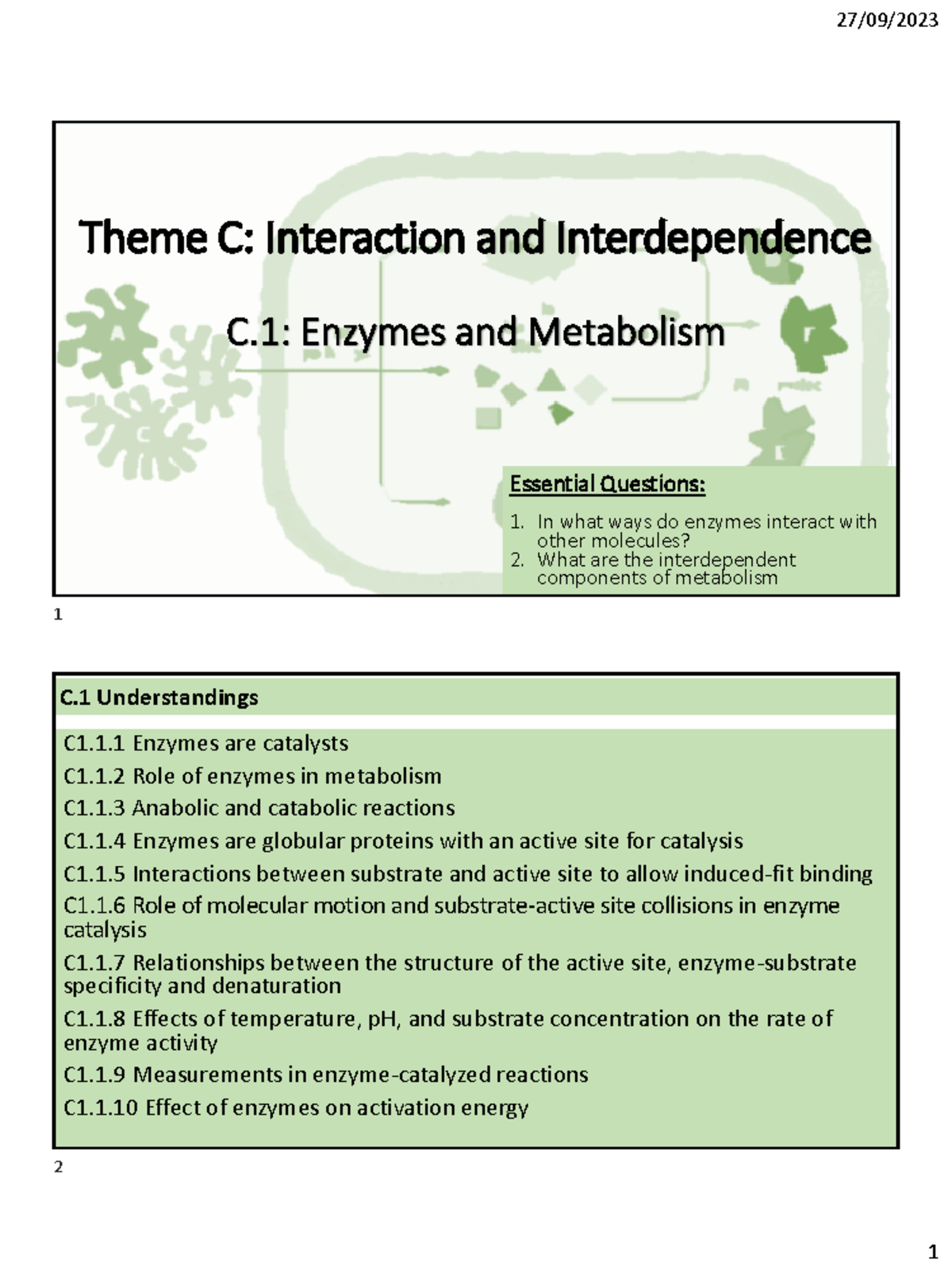C1.1 student notes - Theme C: Interaction and Interdependence C ...