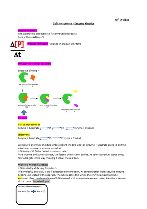 Lab Report - Enzyme Kinetics - Enzyme Kinetics: Determination of the ...