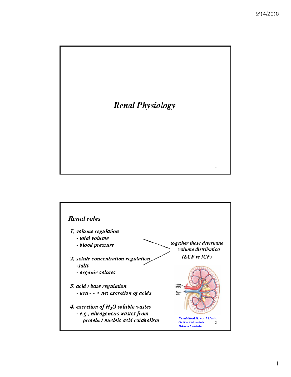 Renal Phys - notes - 9/14/2018 Renal Physiology 1 Renal roles 1) volume ...