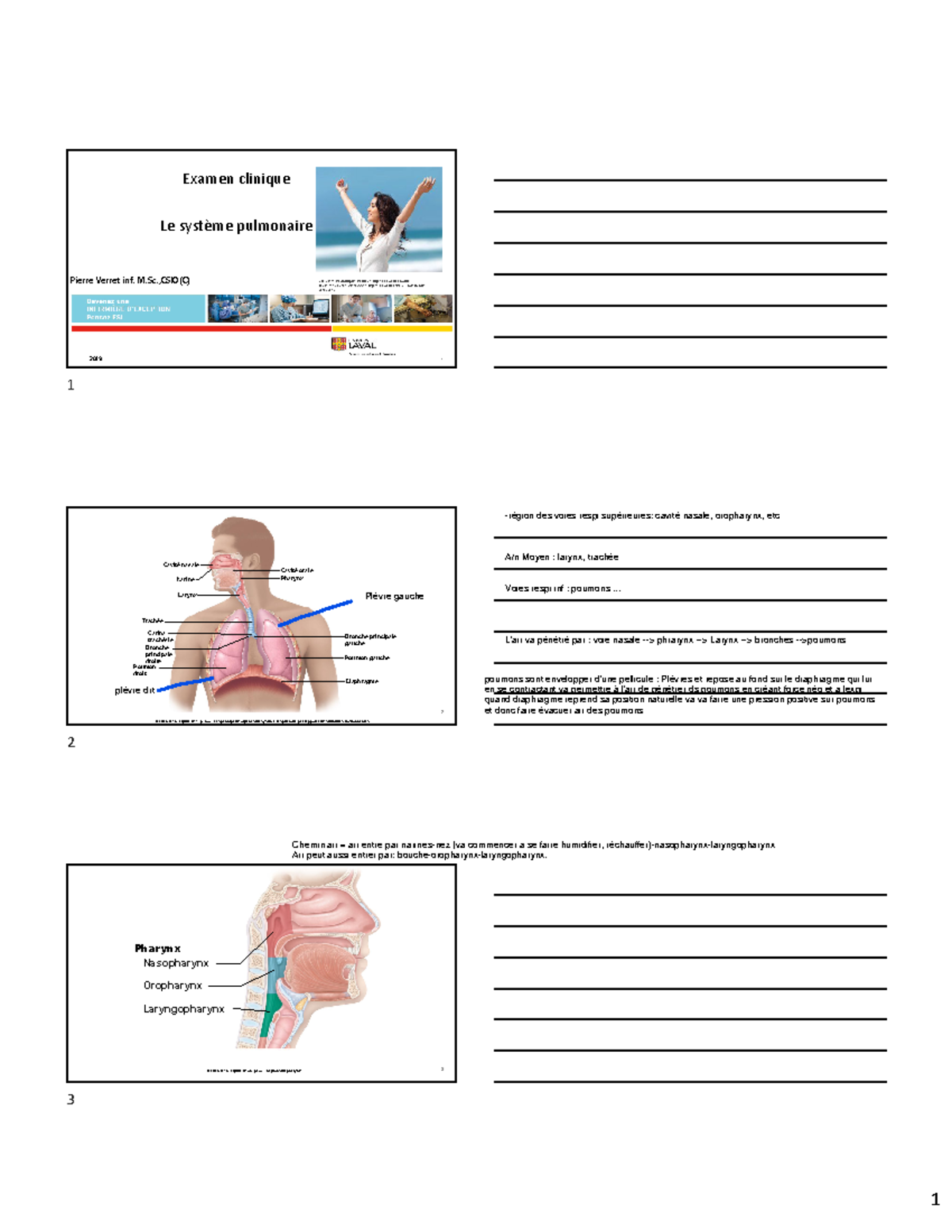 Système pulmonaire 2019 etu - Examen clinique Le système pulmonaire ...