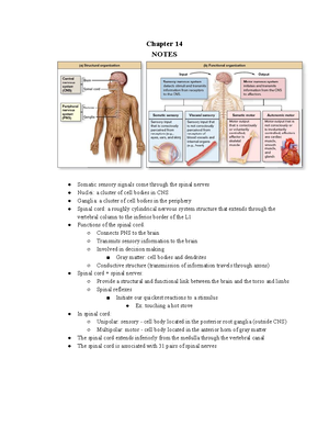 Endocrine Review Questions - The Endocrine System What structure is the ...