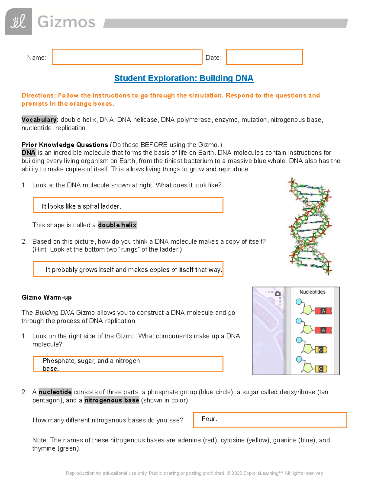 Annotated-Copy%20of%20 Gizmos-Building Dnase - Name: Date: Student ...
