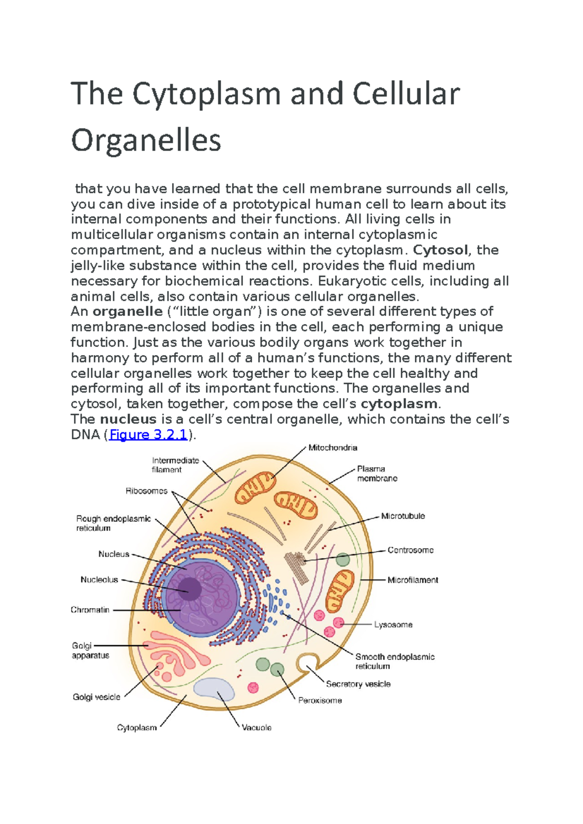 Cytoplasm and cellular Organelles - The Cytoplasm and Cellular ...