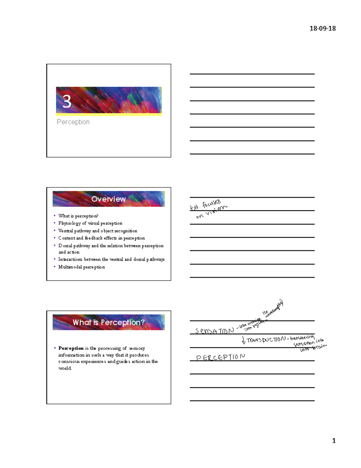 Chapter 3 Lecture Notes - 3 Perception Overview What is perception ...