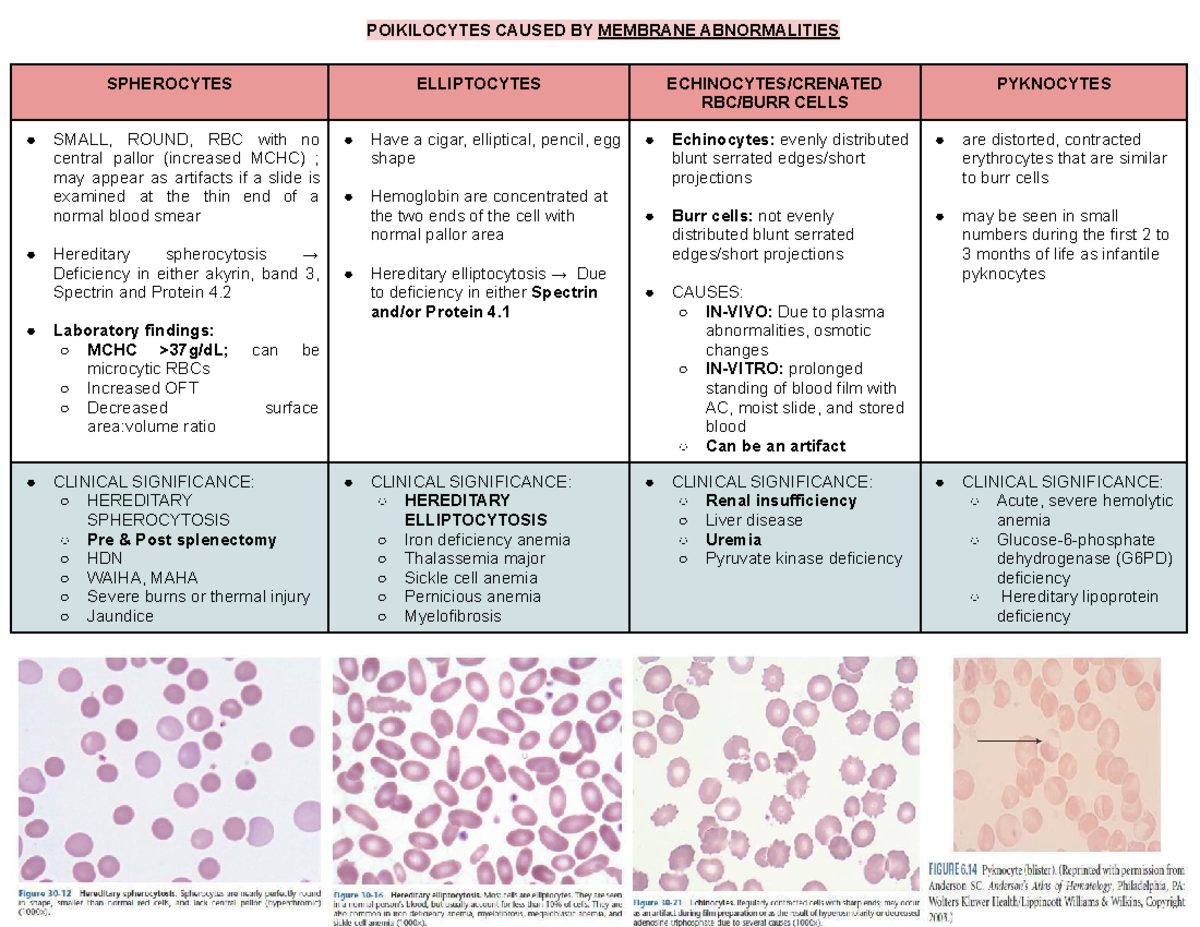 Untitled document - RBC Abnormalities - POIKILOCYTES CAUSED BY MEMBRANE ...