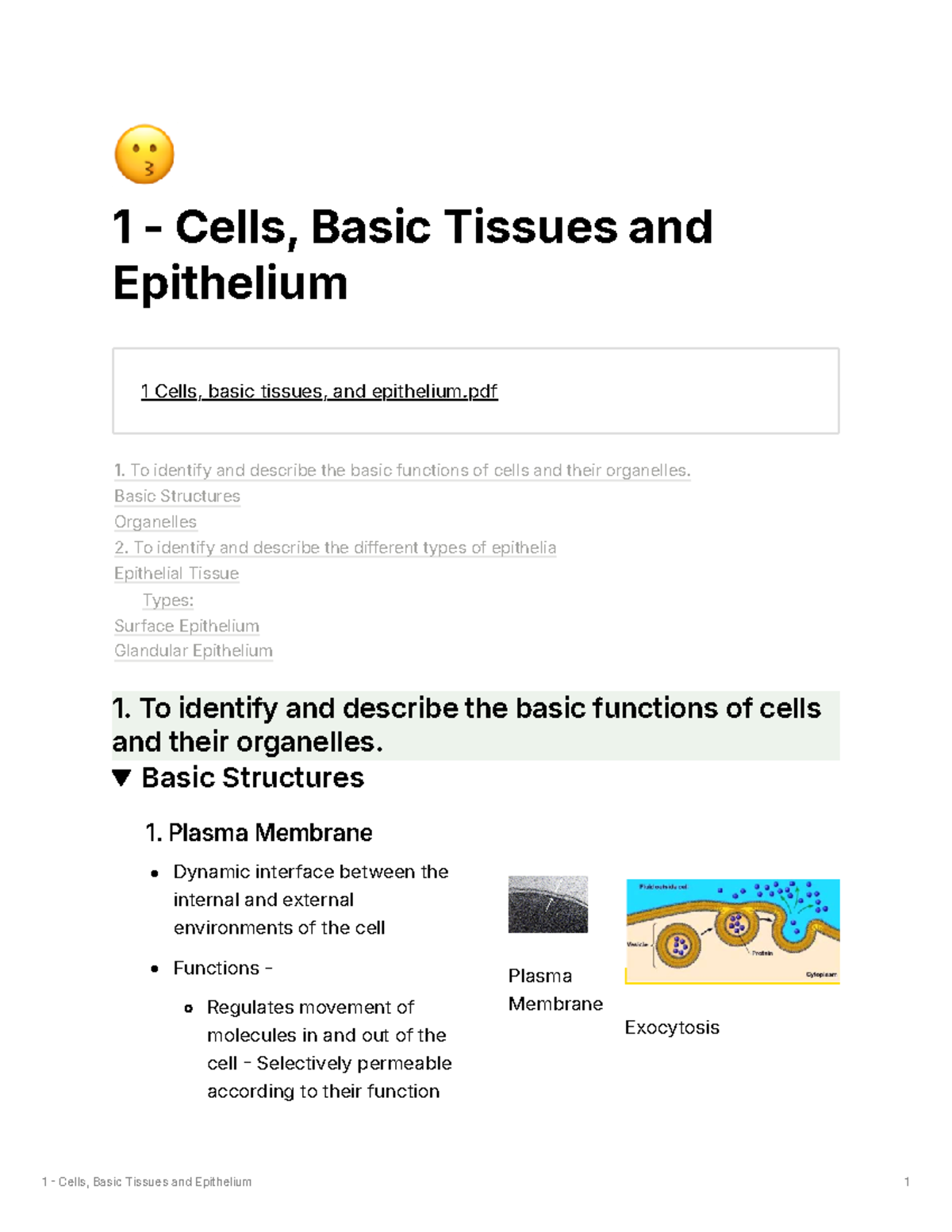 1 - Cells, Basic Tissues and Epithelium - 😗 1 - Cells, Basic Tissues ...