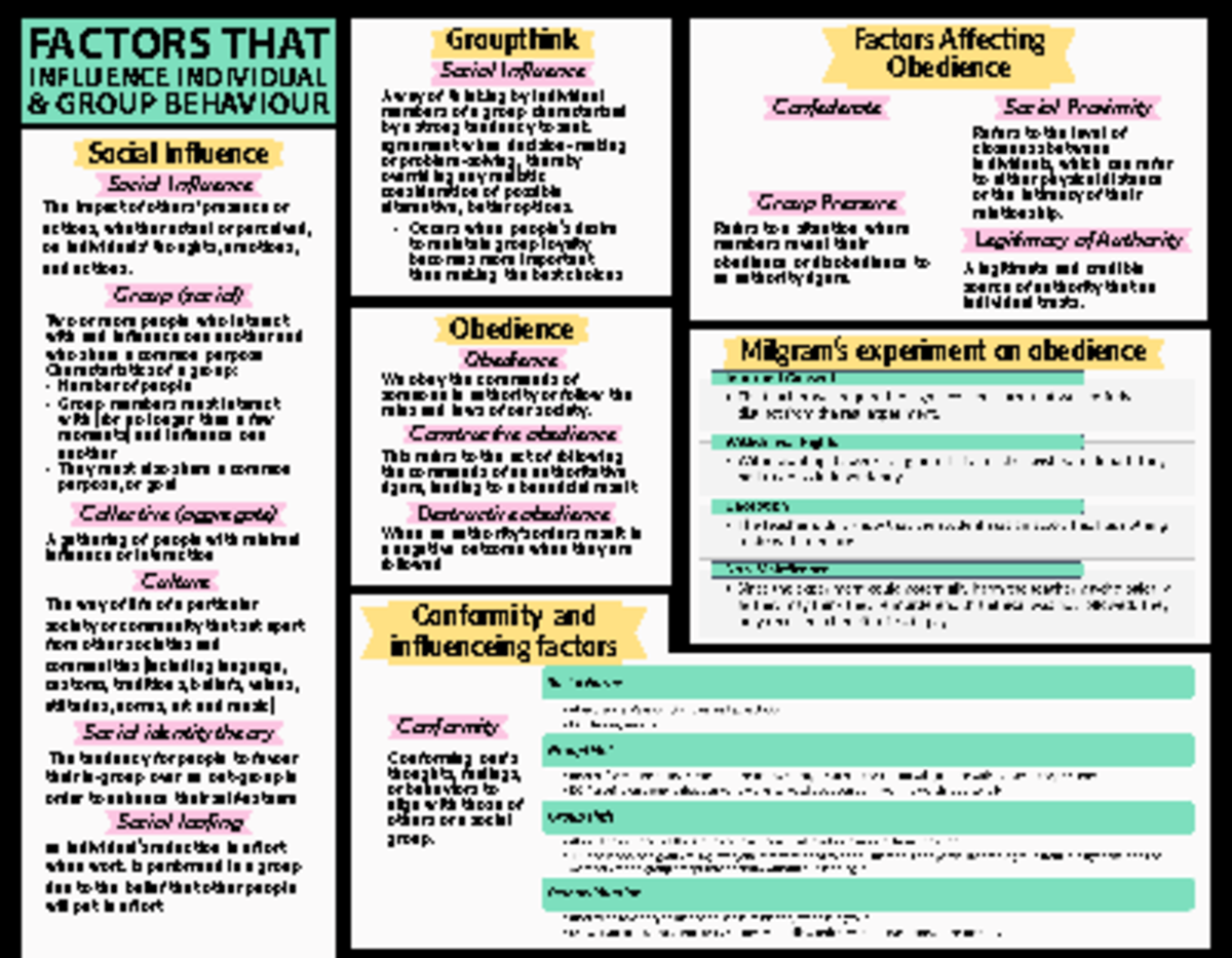 Factors that Influence Individual & Group Behaviour - Social Influence ...