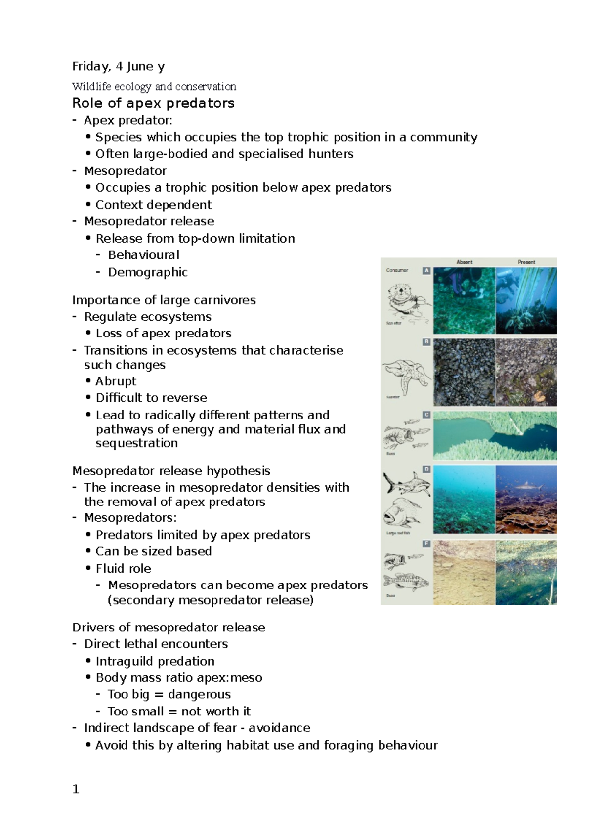 Lecture 13 - Role of apex predators - Wildlife ecology and conservation ...