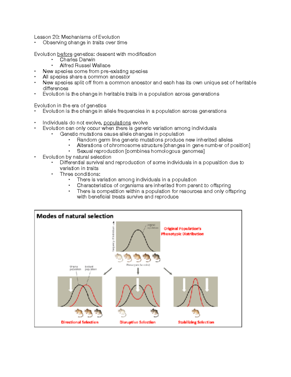 Lesson 20 Notes - Lesson 20: Mechanisms of Evolution Observing change ...