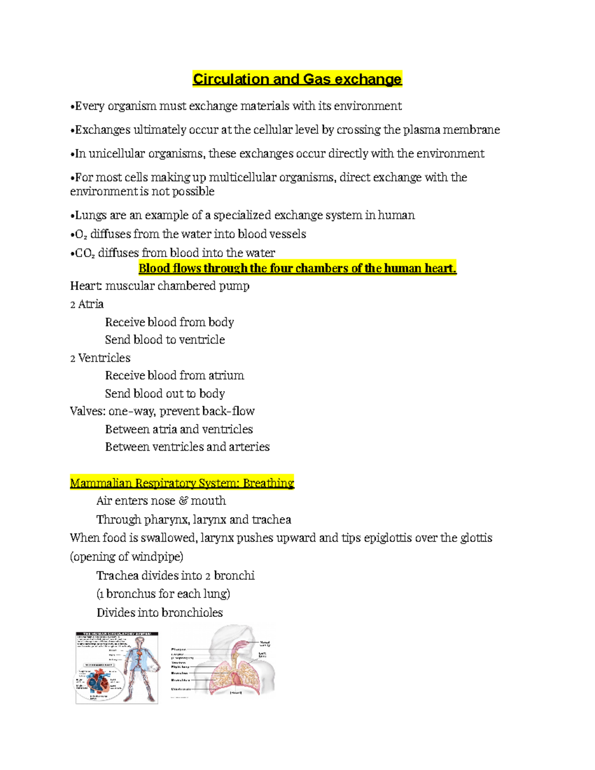 Circulation and Gas exchange - Circulation and Gas exchange •Every ...