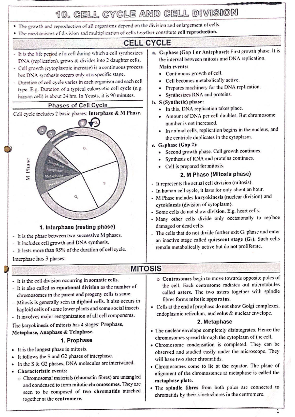 Cell cycle and division - 10. CELL CYCLE AND CELL DIVISION The growth ...
