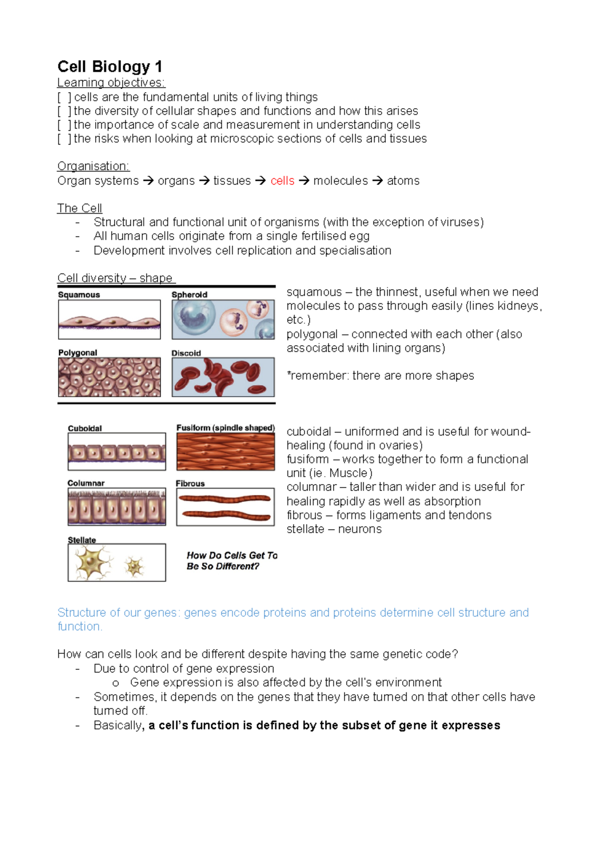 ANHB1101 Cell Biology Lecture Notes Summary - Cell Biology 1 Learning ...