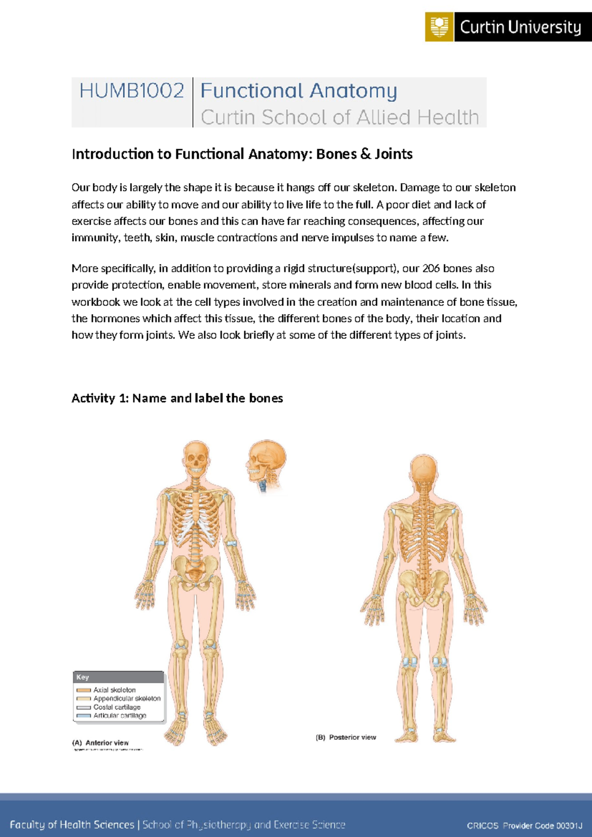 HUMB1002 Week 1 Lab Intro - Introduction to Functional Anatomy: Bones ...