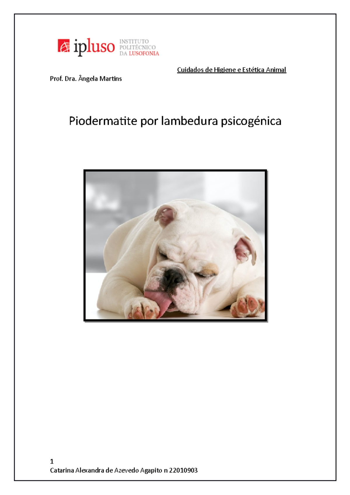 Piodermatite por lambedura psicogénica - Prof. Dra. Ângela Martins ...