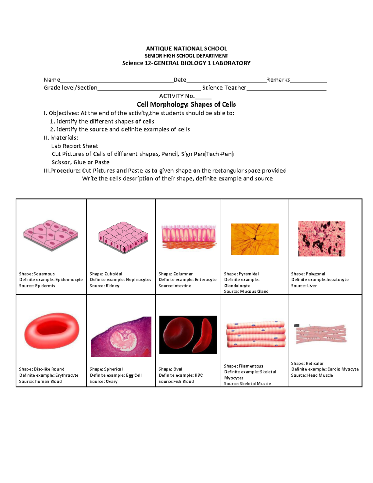 Shapes of Cells Lab Activity - ANTIQUE NATIONAL SCHOOL SENIOR HIGH ...