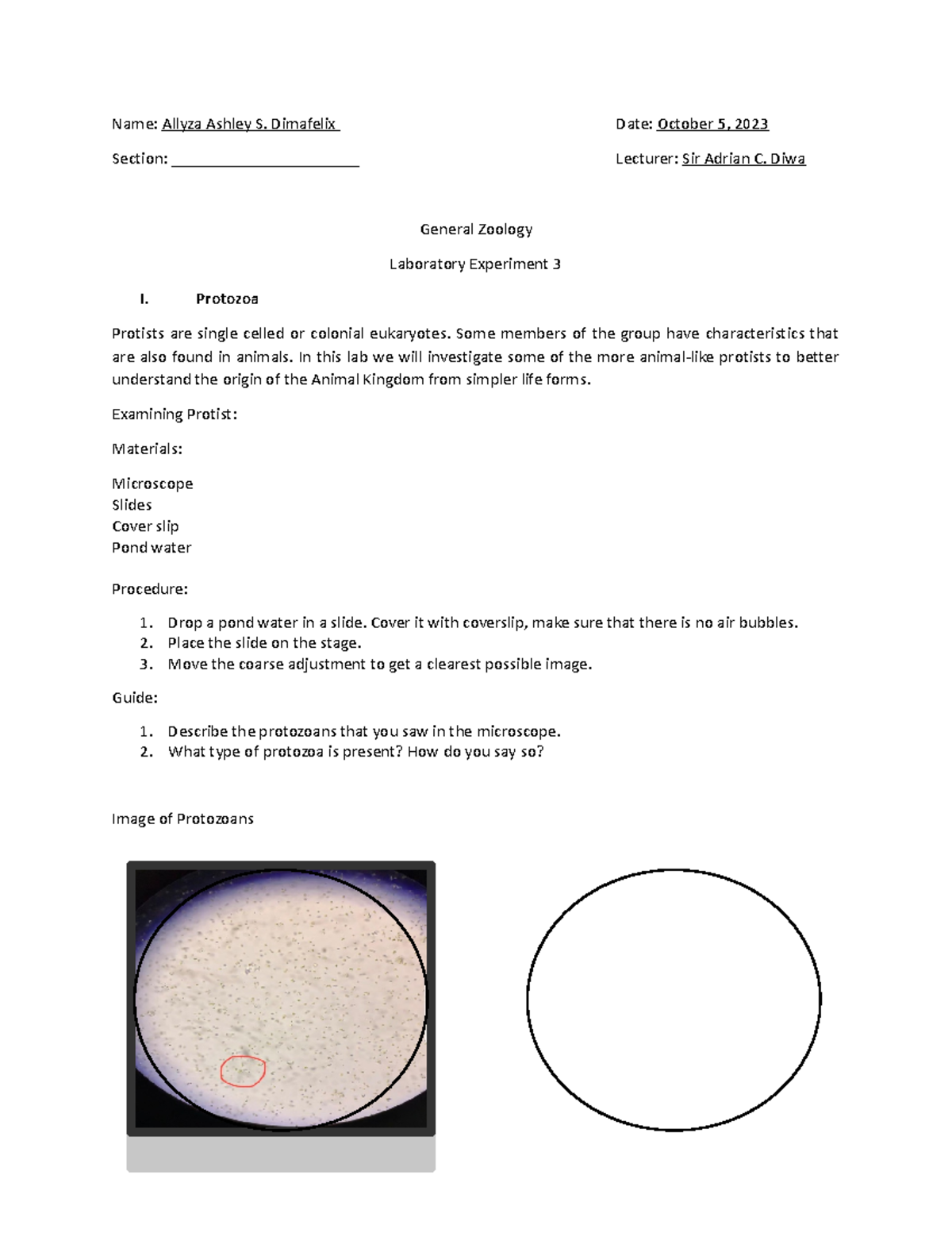 Laboratory 3 - General zoology subject - Name: Allyza Ashley S ...