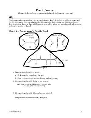 BIO 181 Lab Act I Mission Memo - Lab Instructions: Scientific Reasoning ...