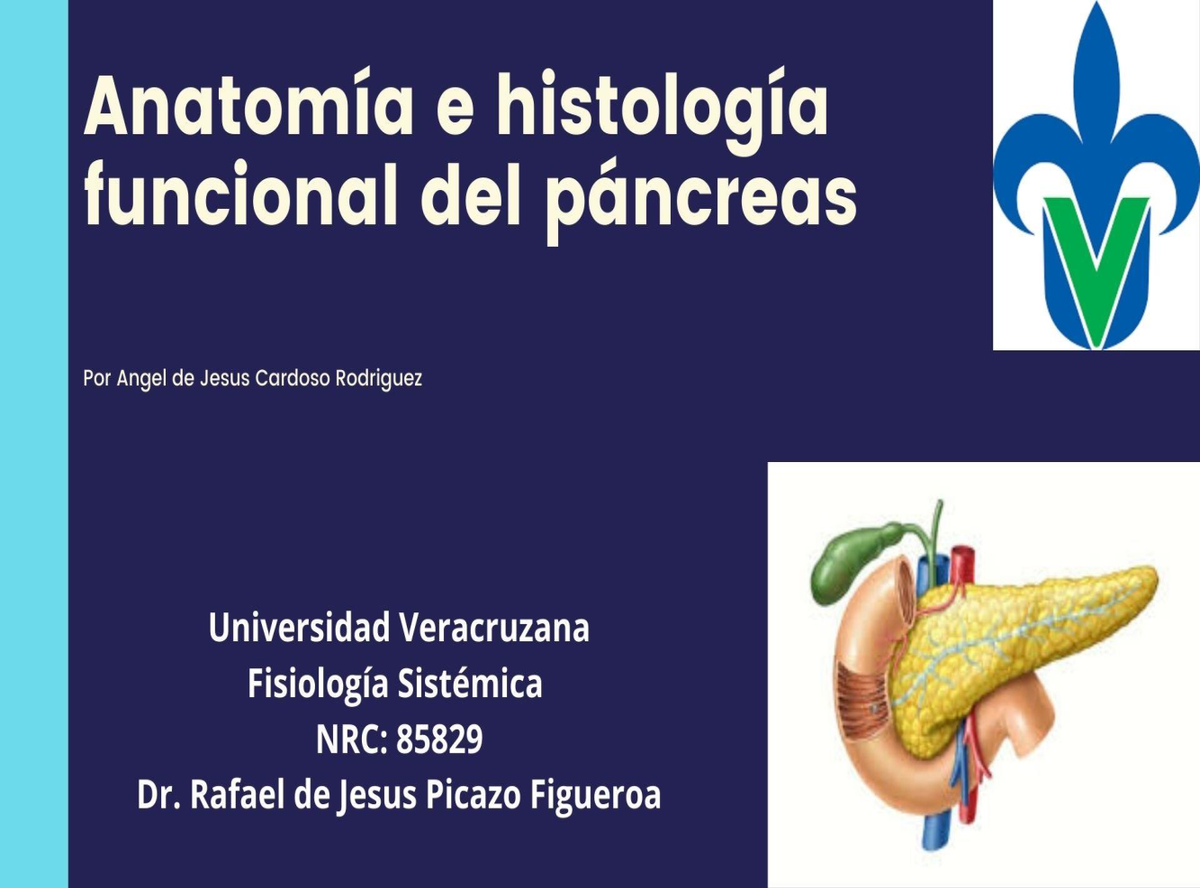 Funciones endocinas del pancreas - Anatomía e histología funcional del ...