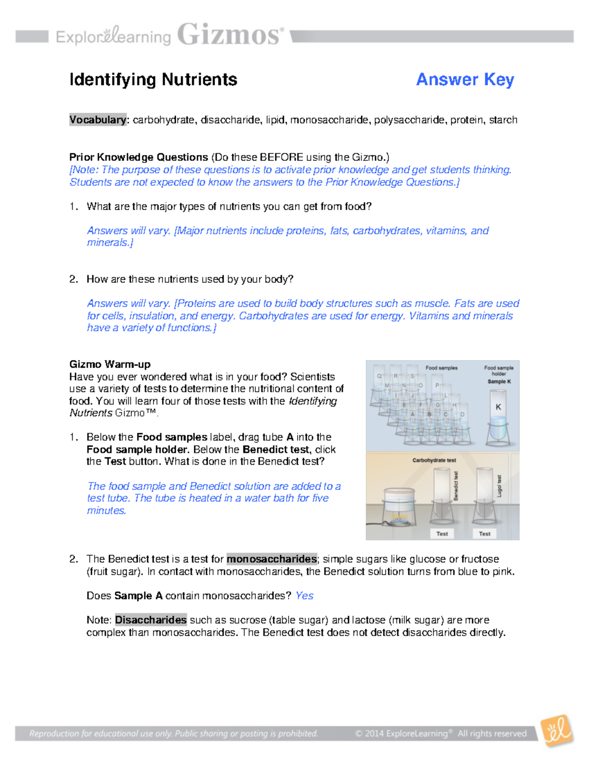 Identifying Nutrients SE Key - Identifying Nutrients Answer Key ...
