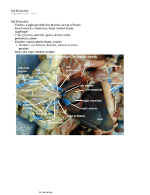 Biology 2 Lab study guide - BSC1011L - Studocu