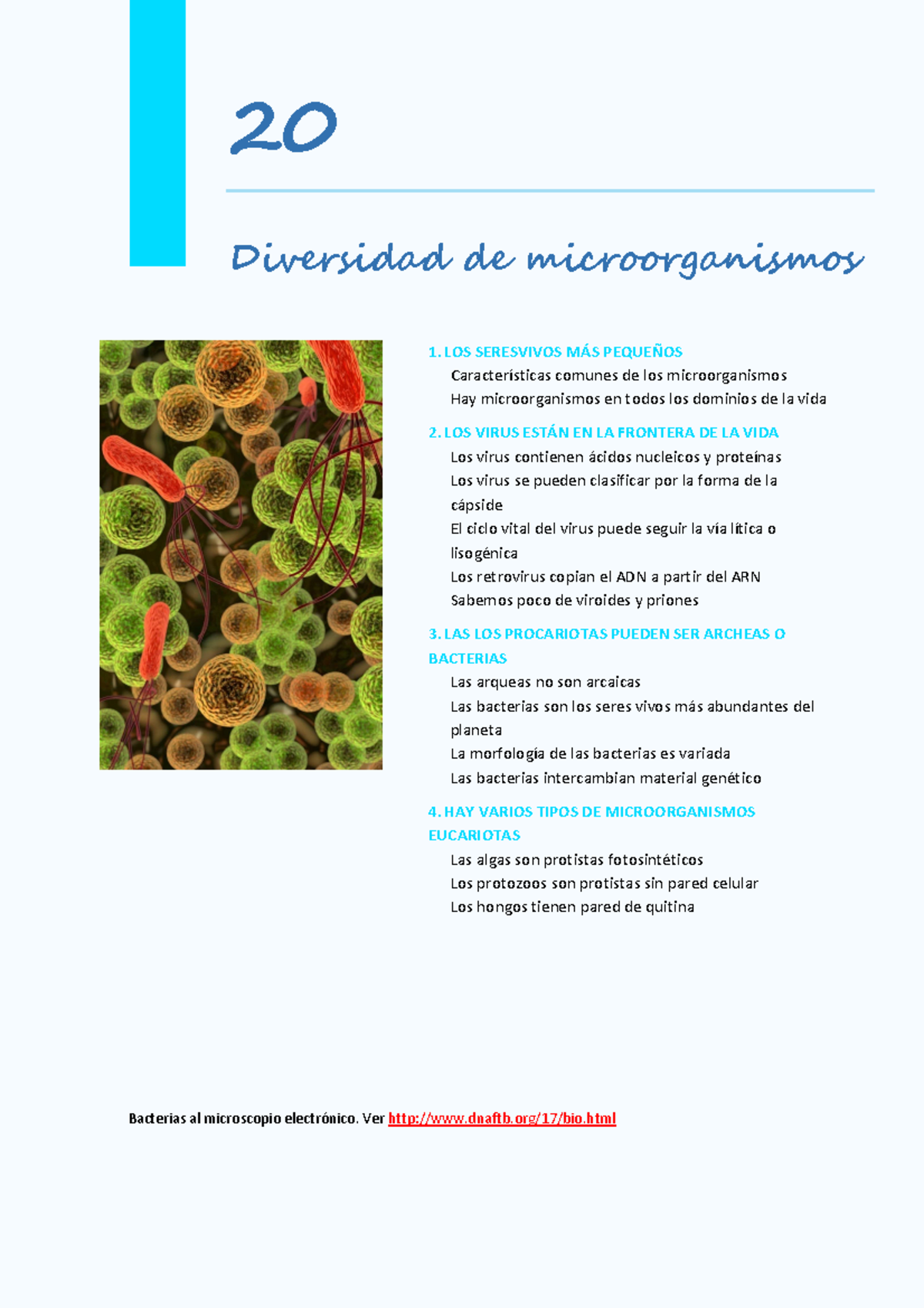 Tema 20. Diversidad micro mio Subrayado Y CON Notas - 20 Diversidad de ...