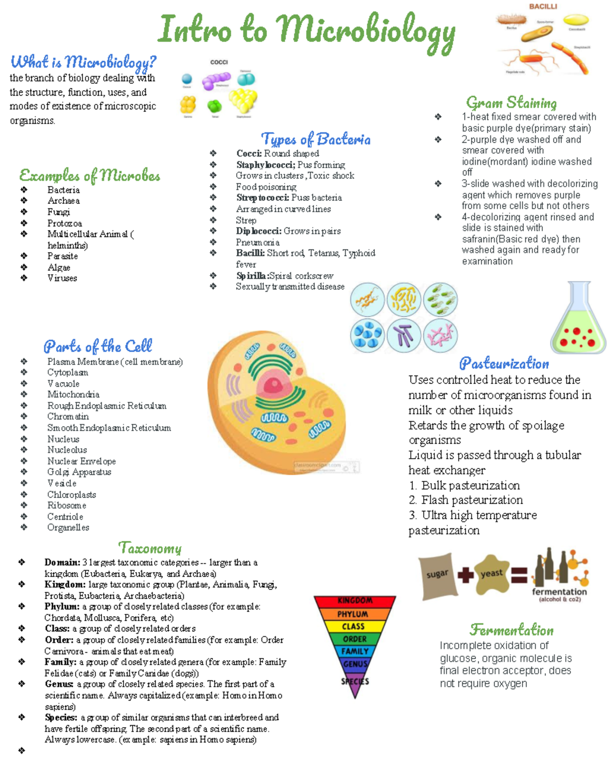 Microbiology - Iʖ˔ˀʞ ˔ʞ Mɸɑˀʞɐɸʞʎʞɯ˵ Wɵȵ˔ ɸˆ Mɸɑˀʞɐɸʞʎʞɯ˵? the branch ...