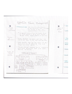 Effective Team Management - CMR 261 - Studocu