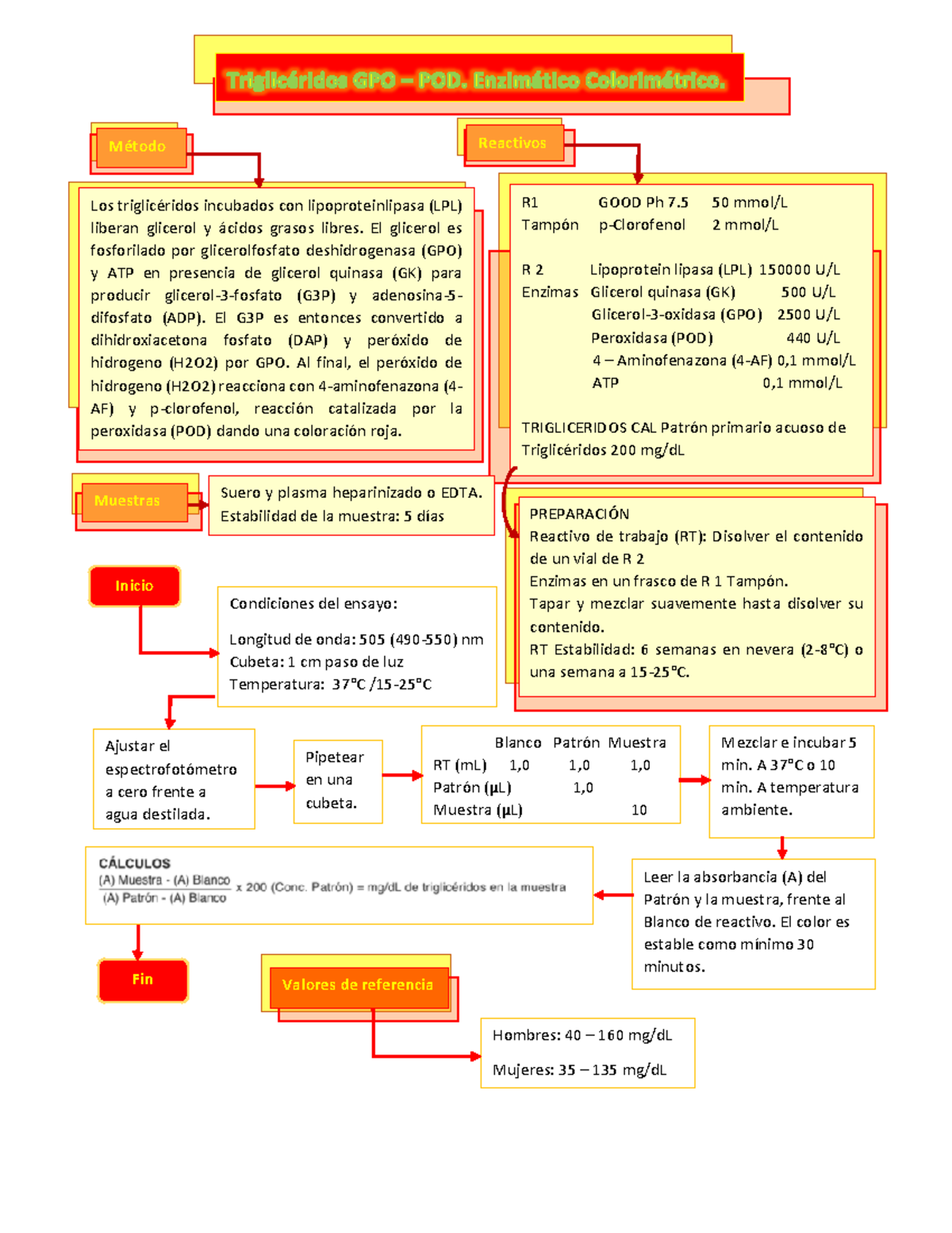 Triglicéridos GPO-POD - Método Los triglicéridos incubados con ...