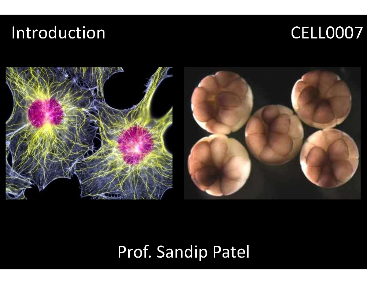 Module Introduction - Introduction Prof. Sandip Patel CELL 3 ...